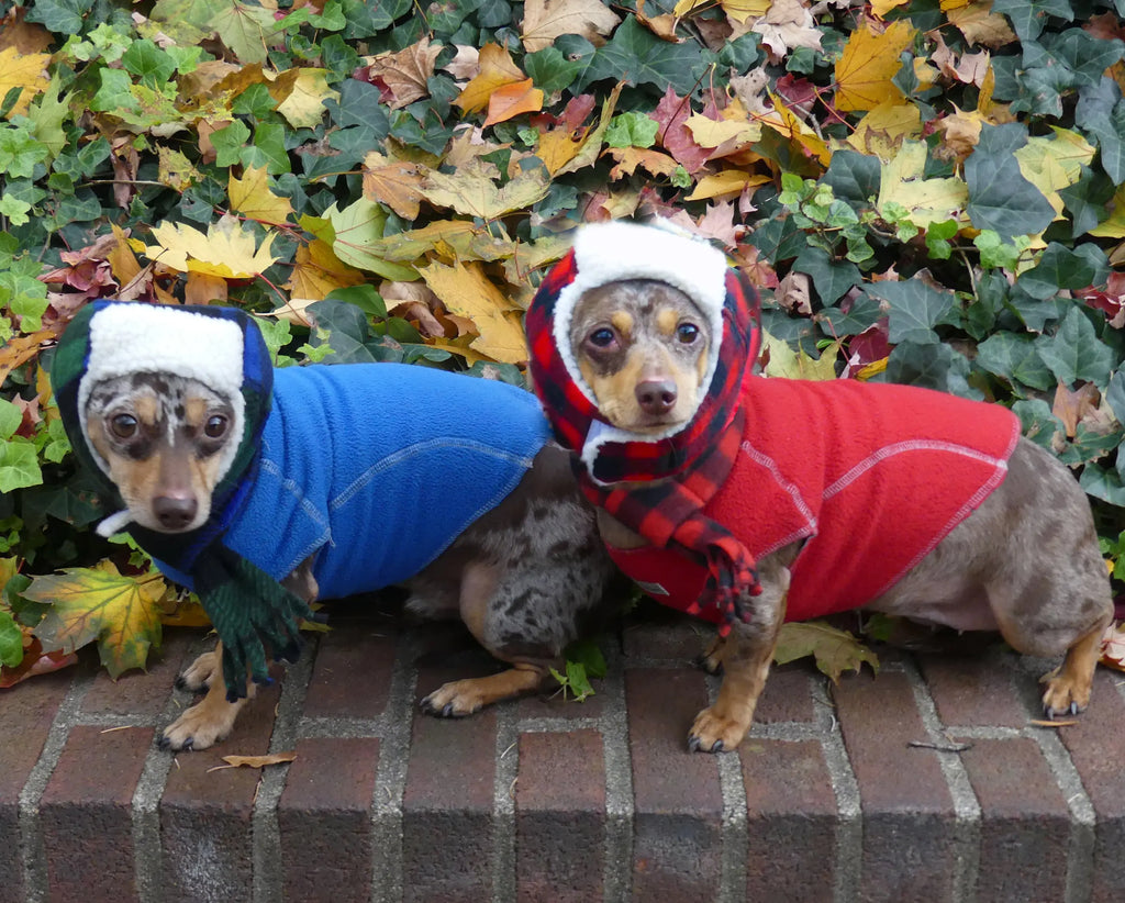 My Canine Kids Dog Hats and Scarves Sets Fleece Prints ...